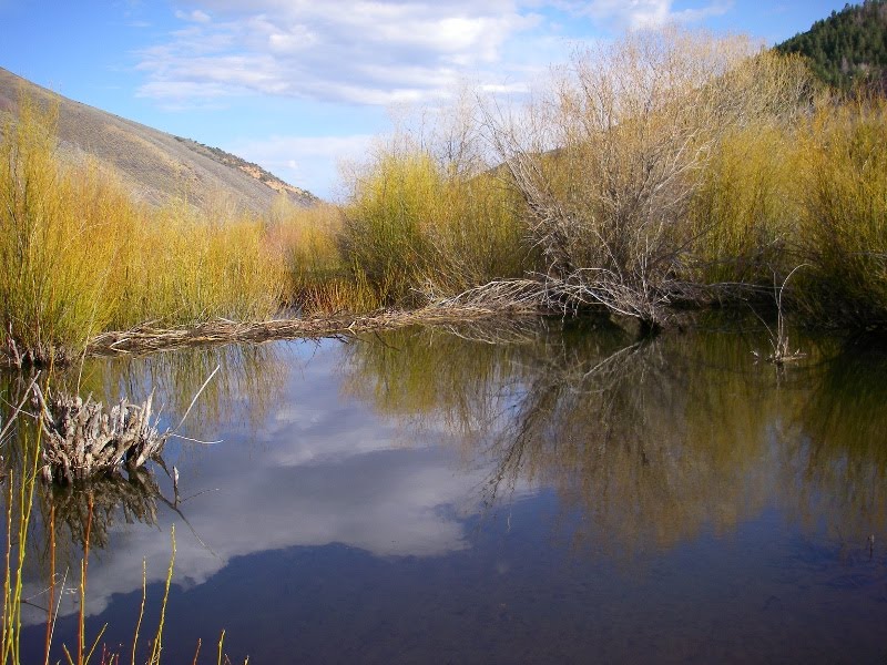 Utah Water Log: Currant Creek Reservoir