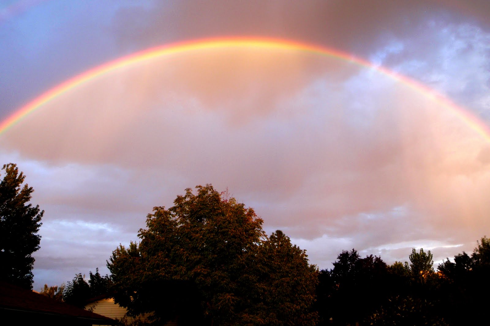 Barbara Walker Photography - Idaho Senior, Couple, Children, and Family ...