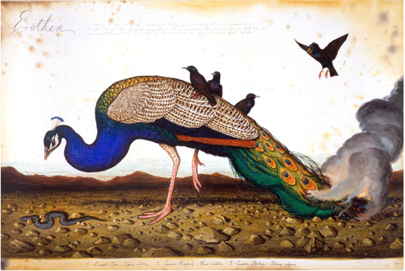 carinberger: walton ford