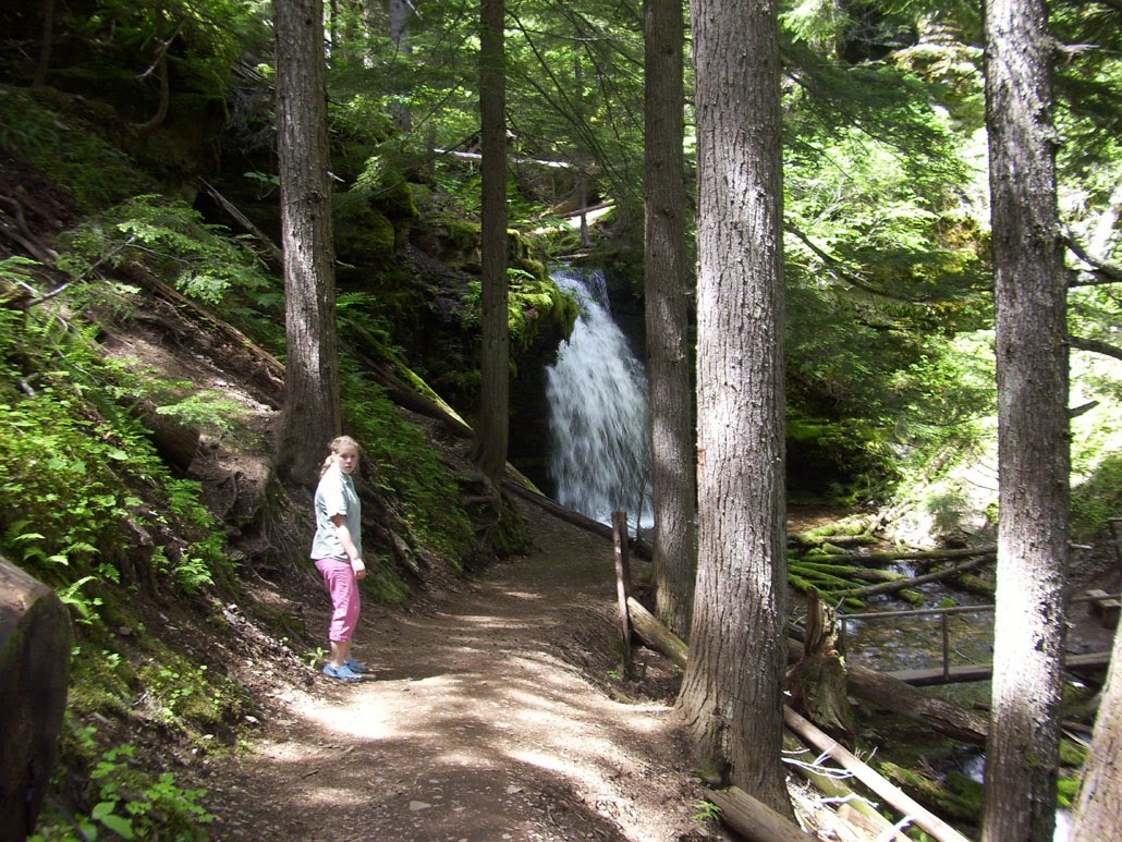 Fern and Shadow Falls - Roads to Everywhere