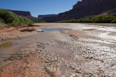 Chloe Grace Moretz (moved from General Discussion) - Page 18 ...