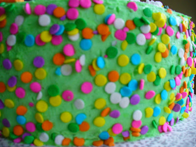 Seriously Sweet Shop: Zoboomafoo (Grant's Cake)