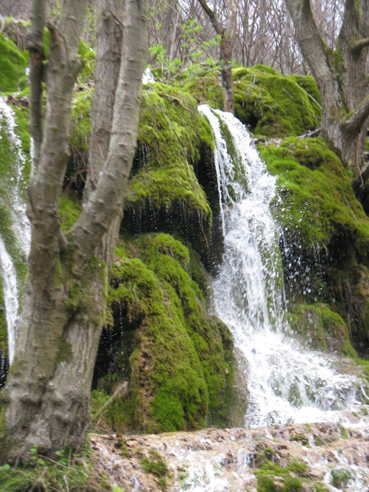 Romania vazuta din caiac: Cu caiacele pe Raul Nera, 8 aprilie
