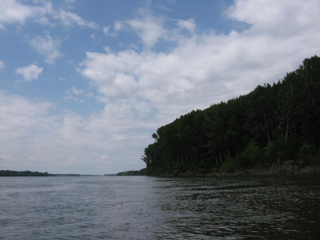 Cu caiacele prin padure, la Dunare – Romania vazuta din caiac