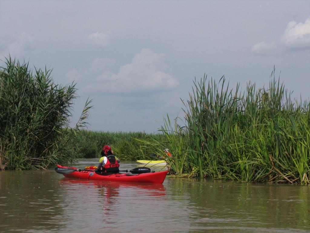 Delta Neajlovului – Romania vazuta din caiac