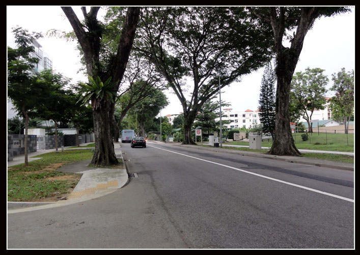 our life in Singapore: want to go for a walk?