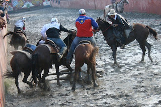 100% Toros Coleados: