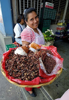 GASTRONOMIA DE TEHUACAN