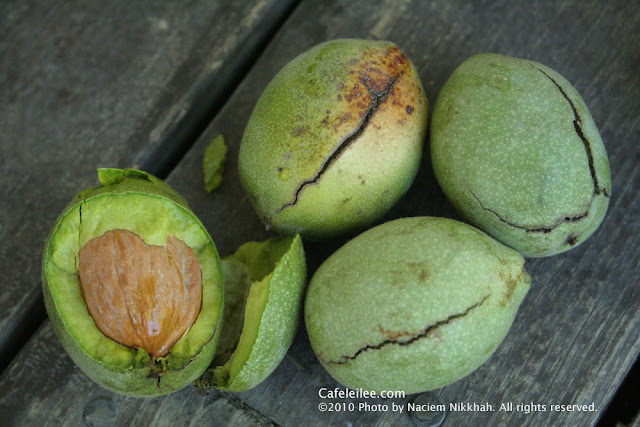 Cafe Leilee کافه لیلی - Foods from Persia to Bay Area: Fresh Walnuts in ...