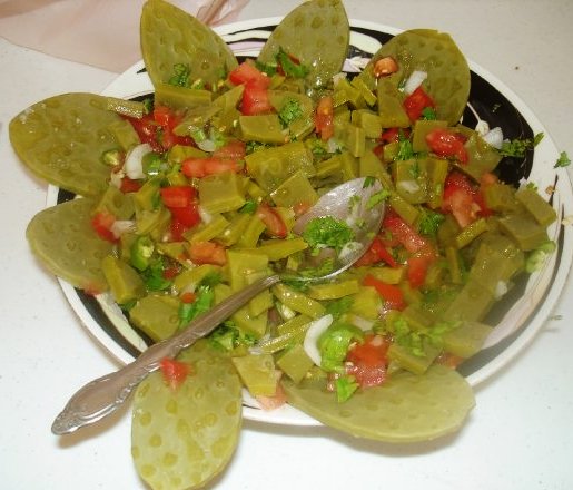 Sarah's Life in Food!: Food Spotlight: Mexico; Recipe: Steak Enchiladas ...