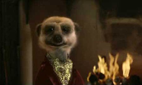 ReaLTimE: Go compare vs Compare the meerkat. Which is best