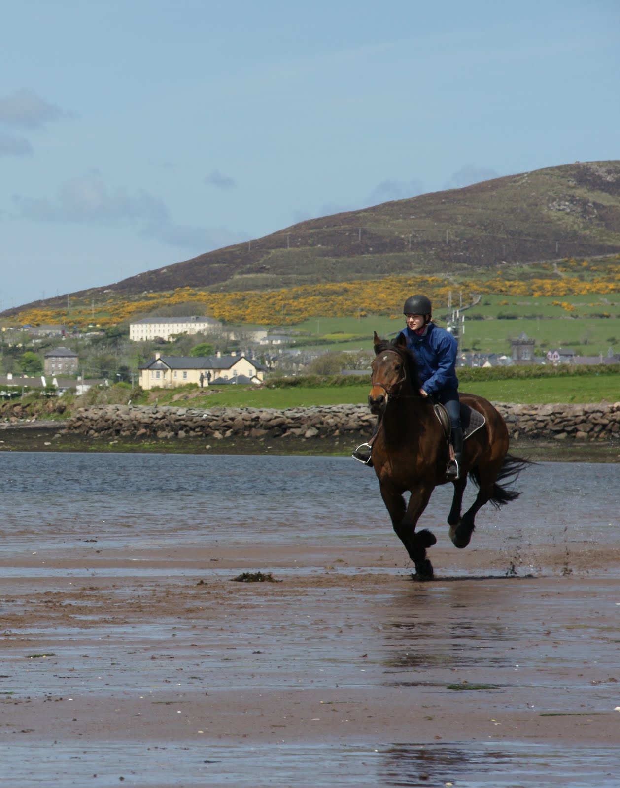 Dingle Horse Riding: May 2010