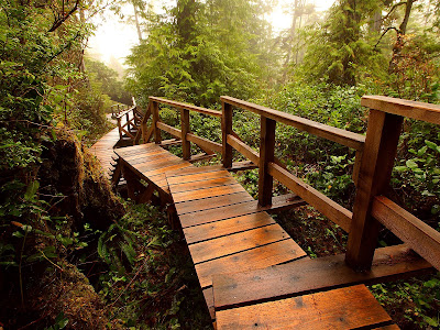 Imagini Desktop Poze Wallpapers: Colectie Natura