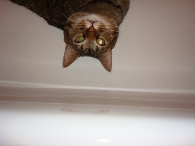 What's New with KaraLoo?: "What's up Big Perm?... I mean Big Worm?"