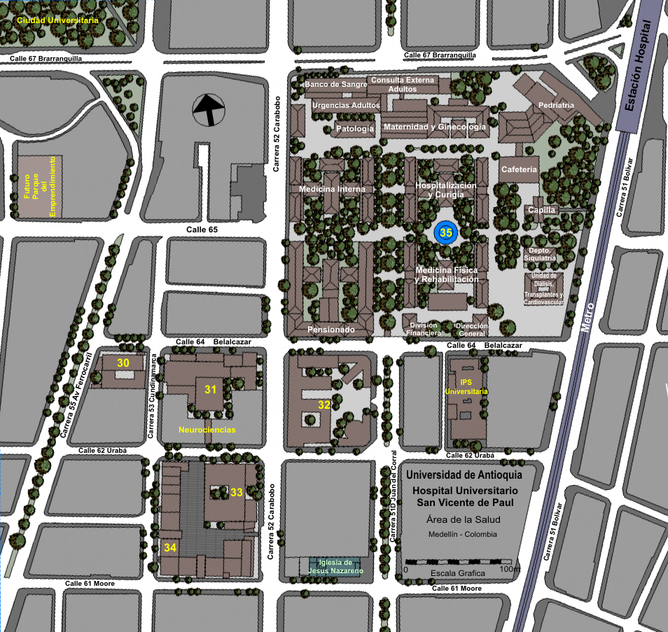 camino a la universidad