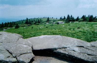 The Smoky Mountain Hiking Blog: Hike to Grassy Ridge Bald on Roan Mountain