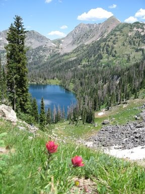 The Smoky Mountain Hiking Blog: Hike Report: Gilpin Lake Loop