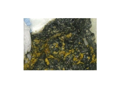 Profissão: Super Mãe: O cocô do bebê