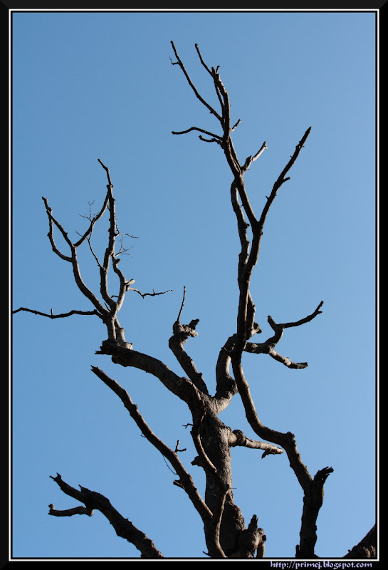 Prime Photos: February 2011