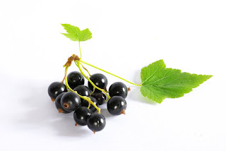 Groente en Fruit voor jou!: Zwarte bes