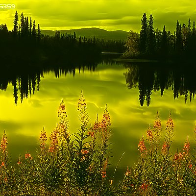 Mobile Wallpapers - 400x400 ~ Mobile Apps