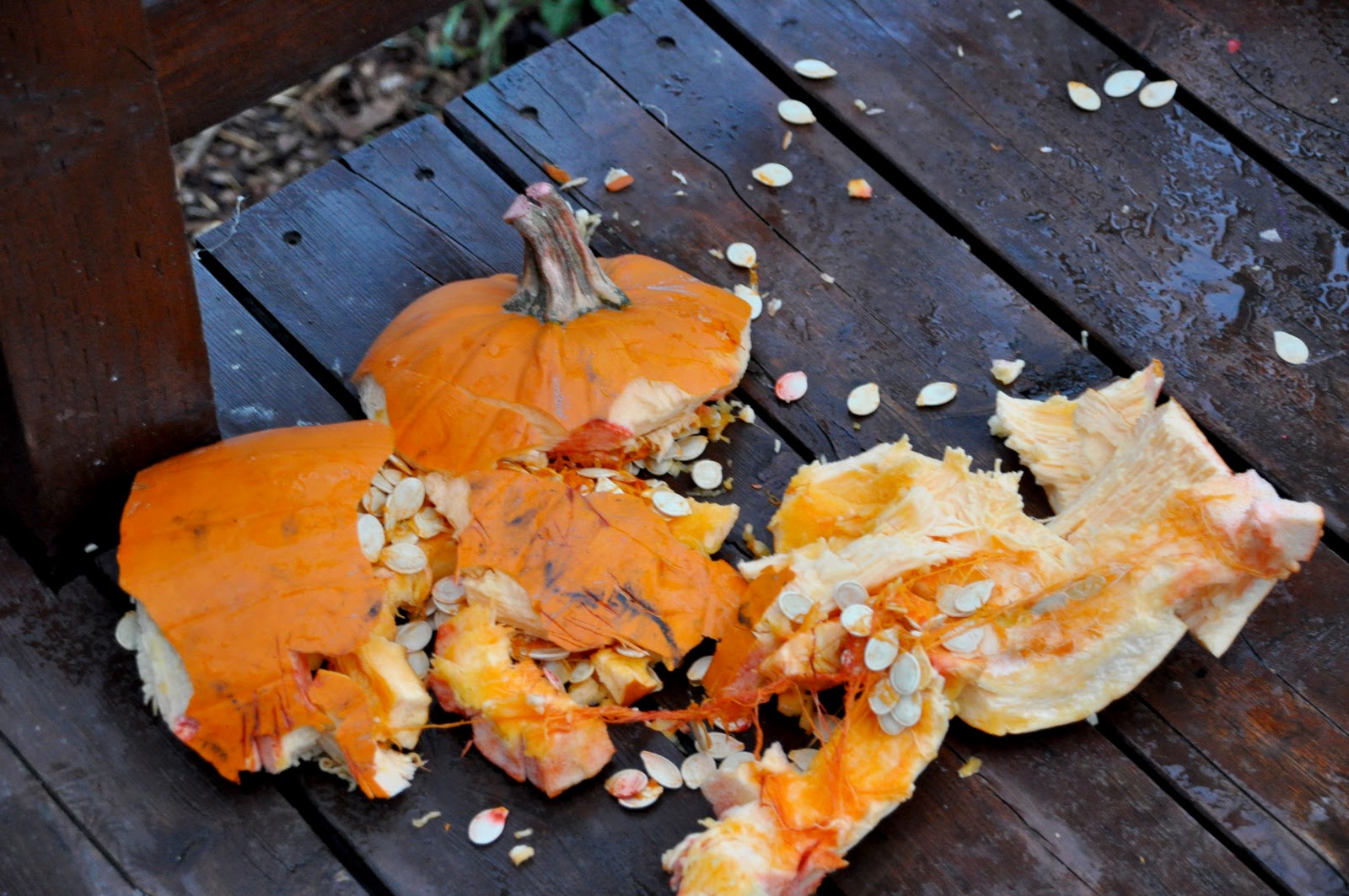 Cohesive Pieces: Halloween 2010