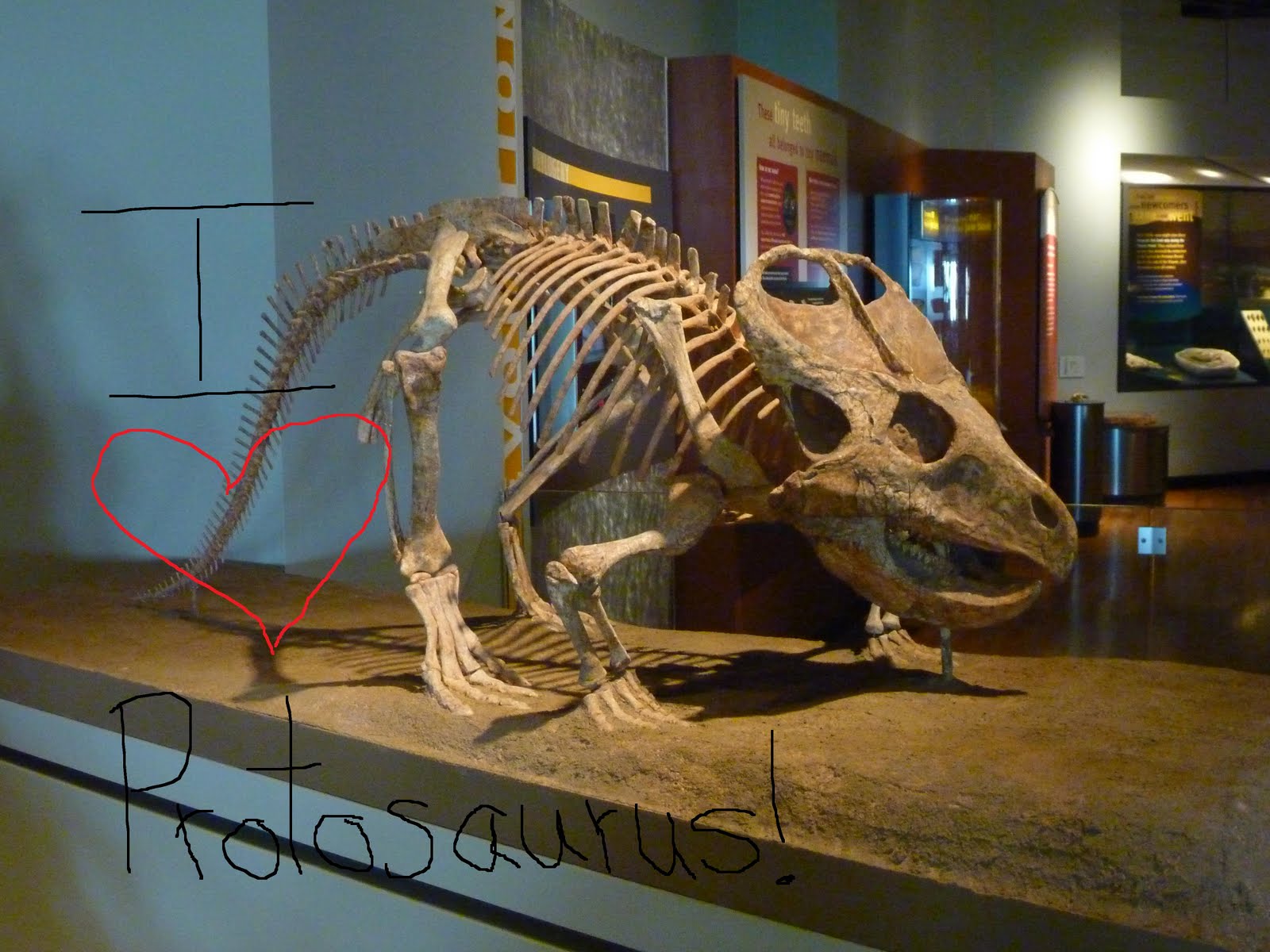 Triple Torture: From Anti-Athlete to Tri-Athlete: Days 3, 4, & 5