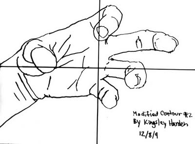 Kingsleys Blog: Modified Contour Drawing