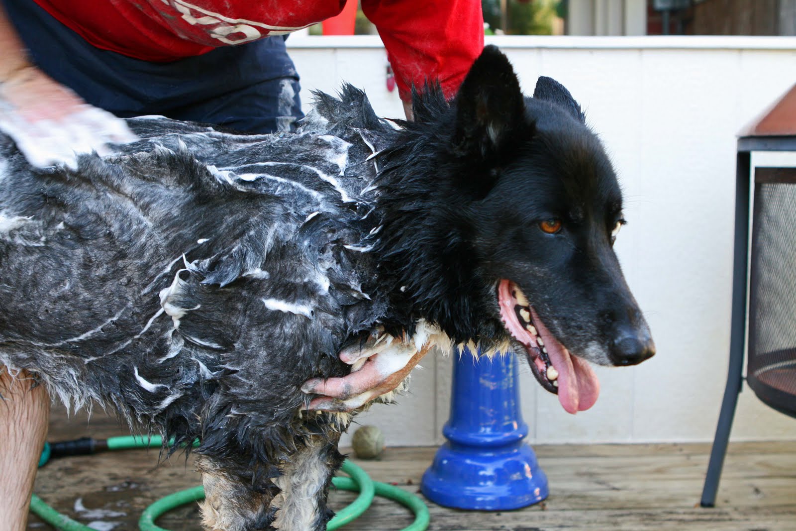 My Life in His Plans