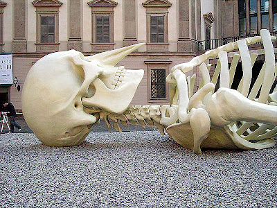 New Photo 2000: Calamita Cosmica