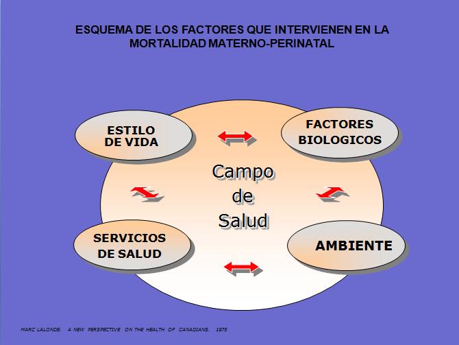 Incidencia de Mortalidad Materna