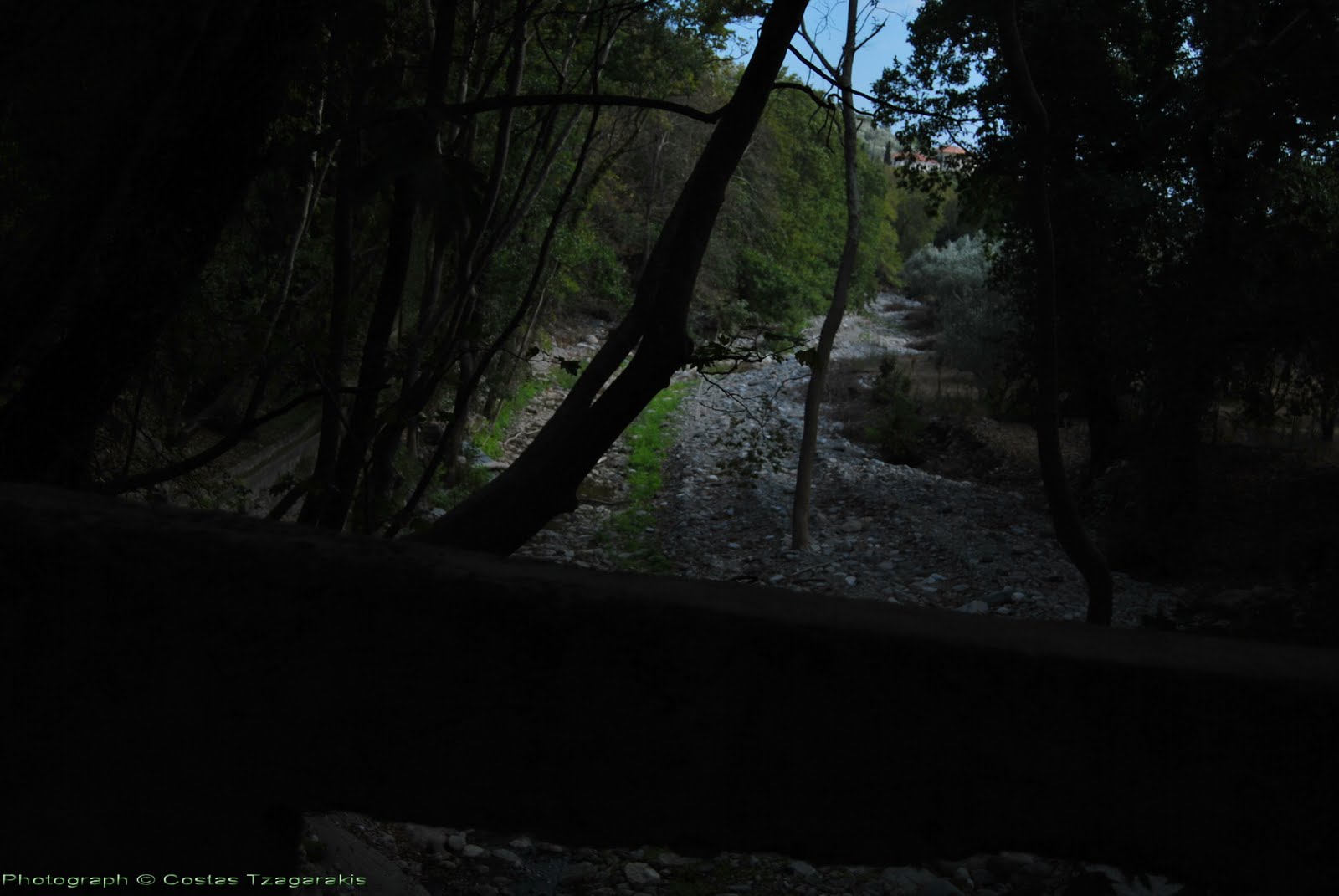 Nature Digital : Mt. Pelion, Greece. Πήλιο.