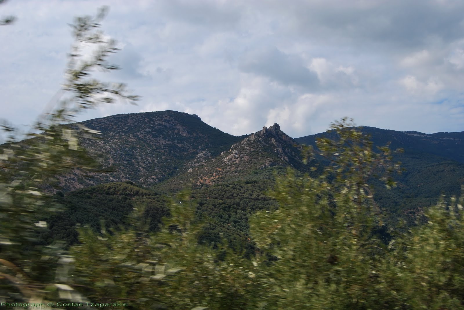 Nature Digital : Mt. Pelion, Greece. Πήλιο.
