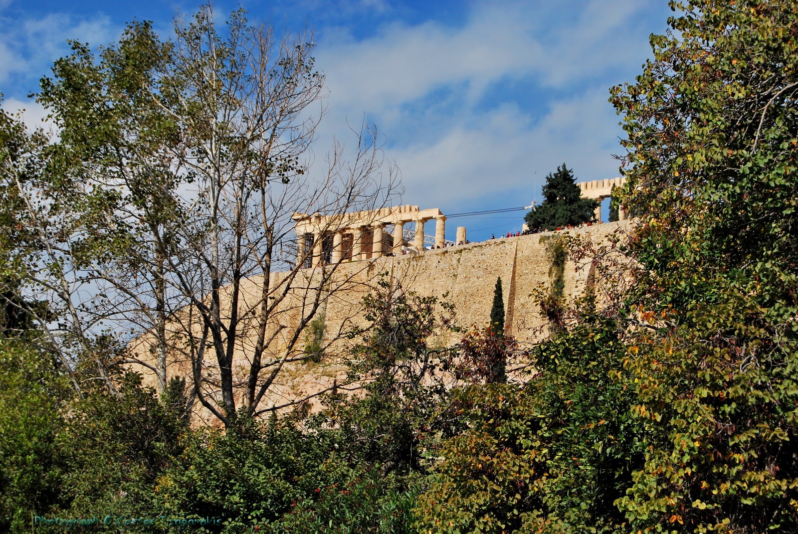 Nature Digital : Scenes from Athens. Εικόνες της Αθήνας.