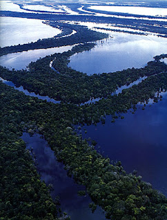 Geography Rules \m/: Hidrografia: Bacia Amazônica