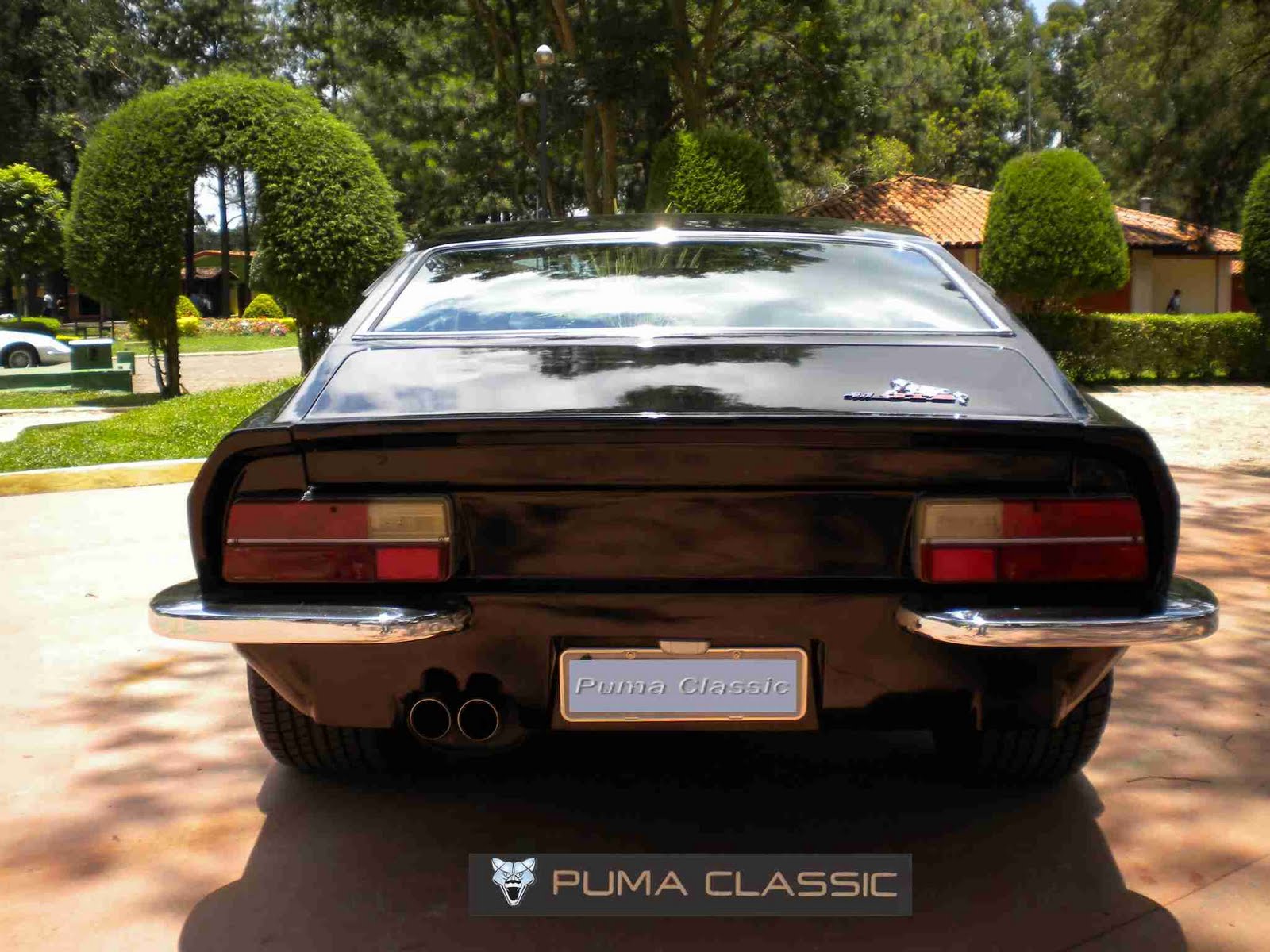 Puma Classic: Puma de amigo - GTB 1977 Street