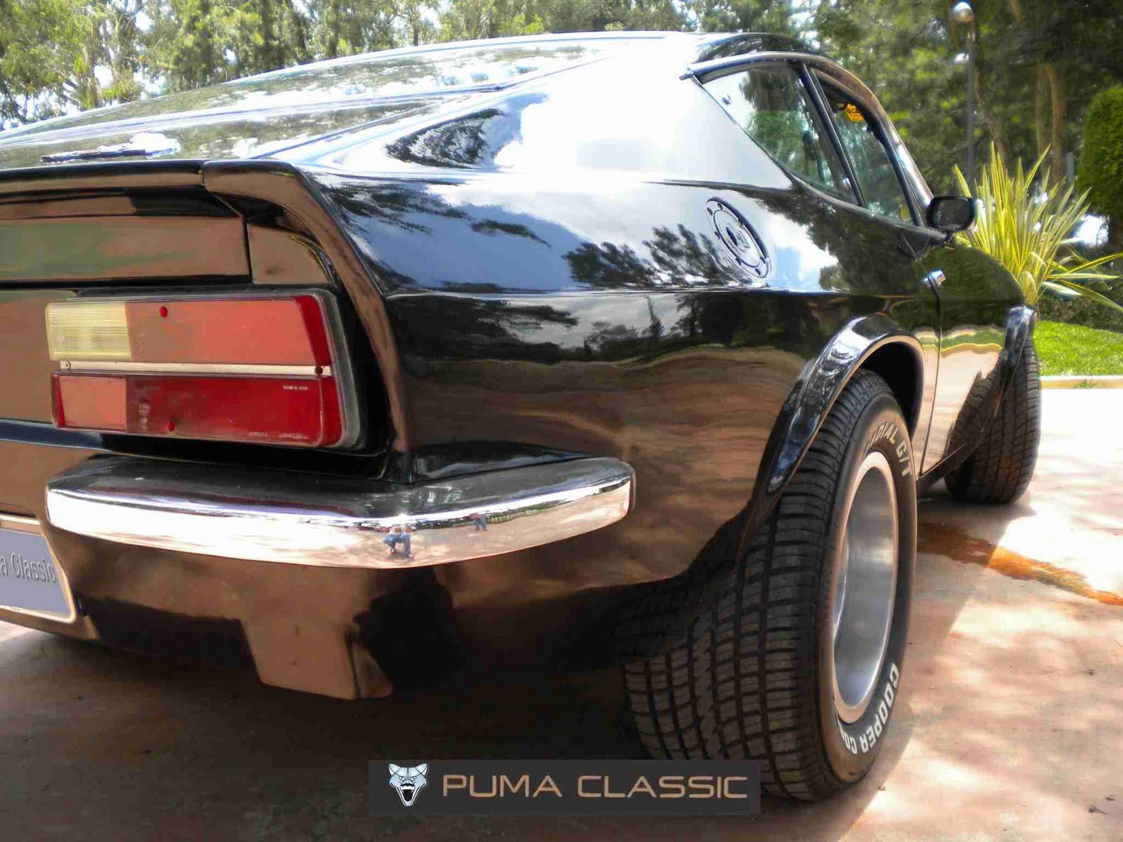 Puma Classic: Puma de amigo - GTB 1977 Street