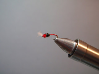 Mountains, Rivers, & Trout: Midge Flies