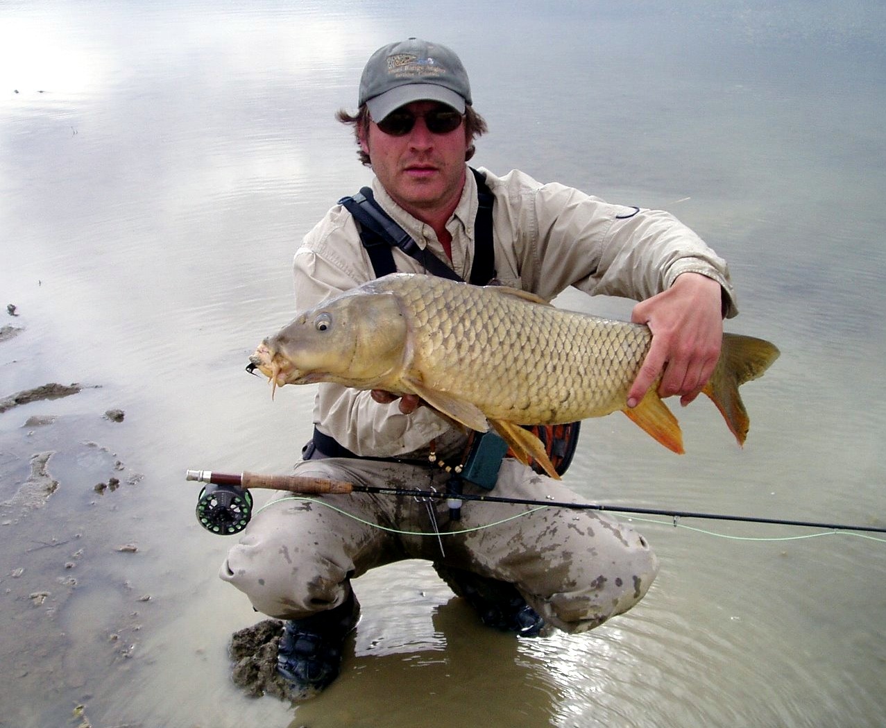 Colorado Fly Fishing Reports: 30 Tips to Make You a Better Carp Angler