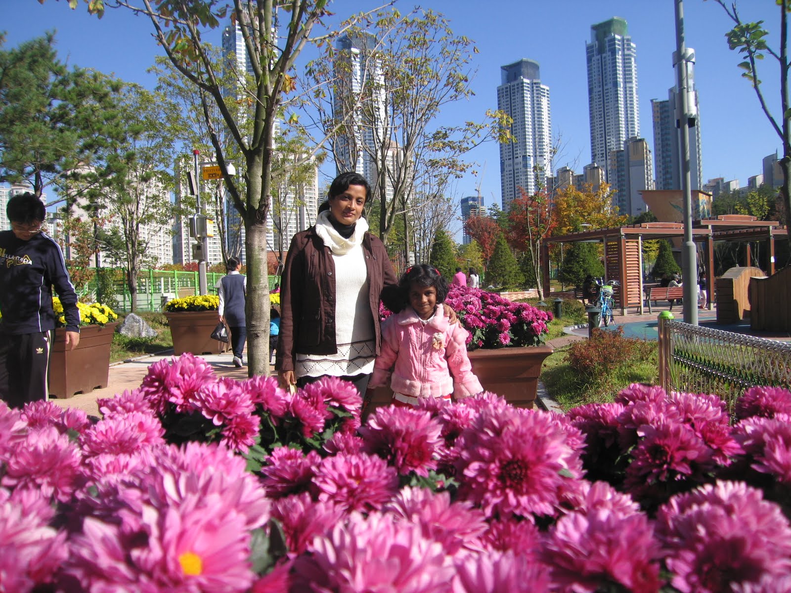 Our Korea Experiences: Visit to Dongtan Park