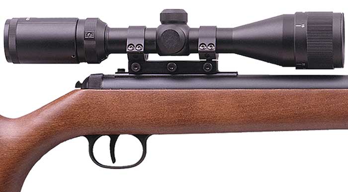 HOBBY IMPORT: Diana RWS 34 Meisterschutze Pro Compact