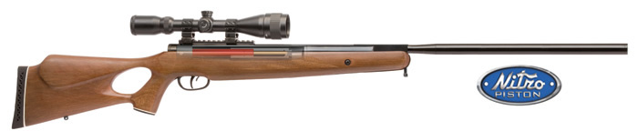 HOBBY IMPORT: Benjamin Trail NP XL