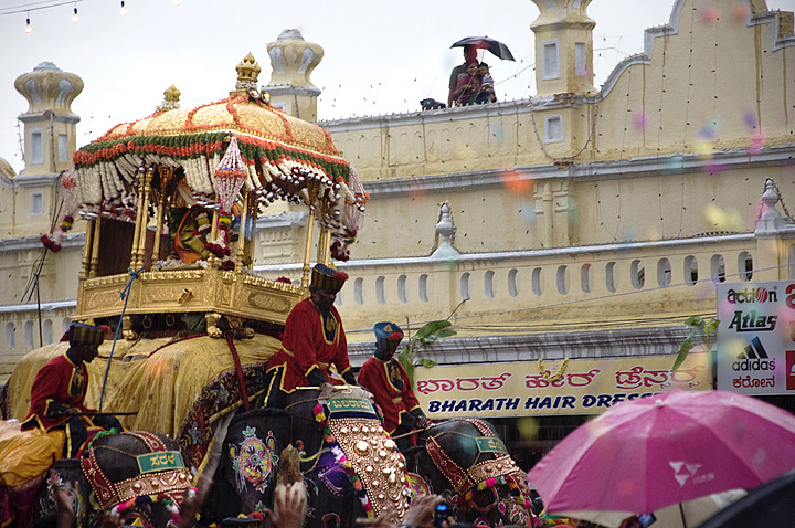 Mysore Dasara ambari image - JungleKey.in Image