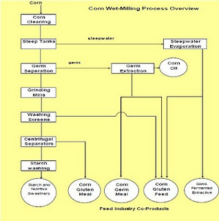 CEREAL FOOD SCIENCES: The Wet Milling Process of Corn