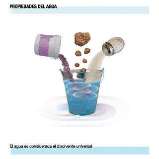 CIENCIAS 3. QUIMICA: El agua como disolvente universal