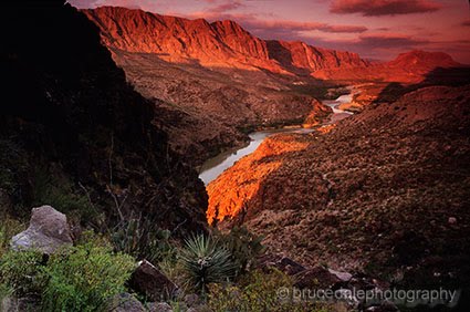 The Punctum: Bruce Dale