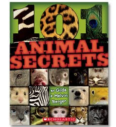 South Coogee Primary School Library