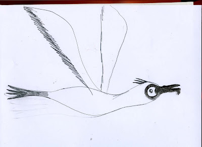 Aves bocetos - Imagui