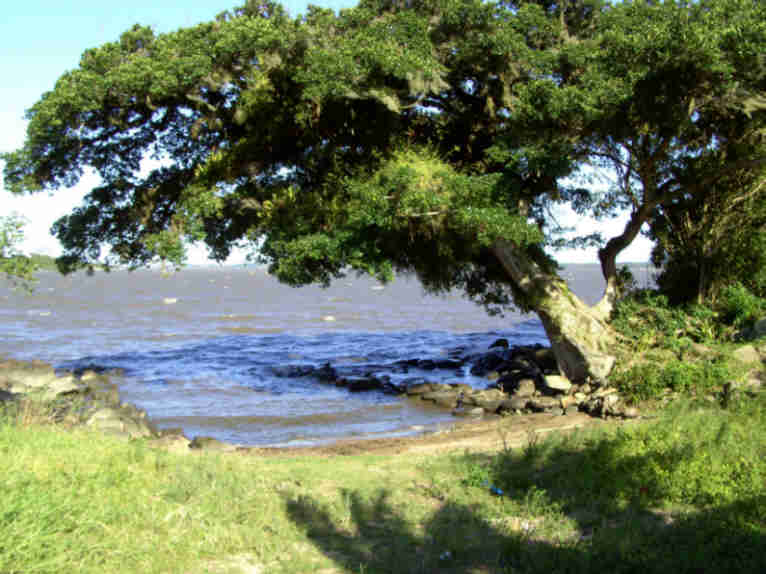 **MIL LUGARES PARA VISITAR**: Imarui_SC