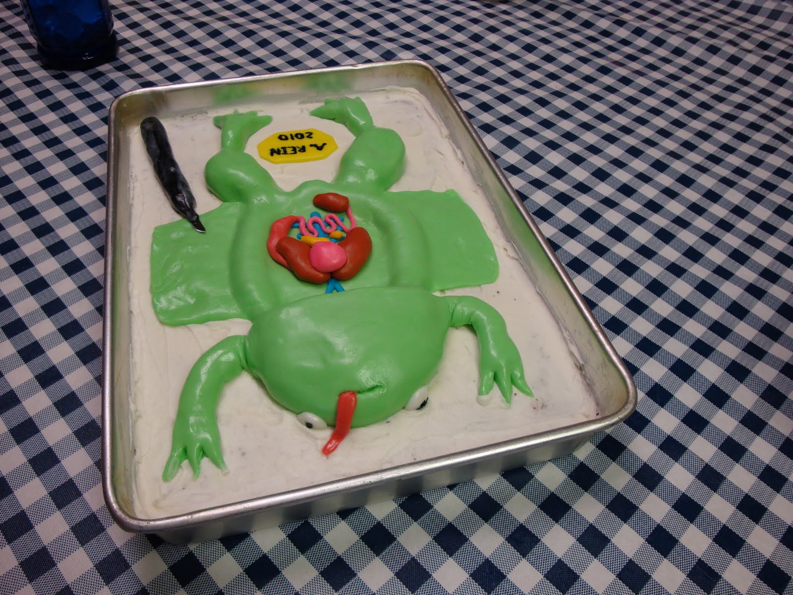 Cricket's Creations: More Dissected Frog Cake Photos...